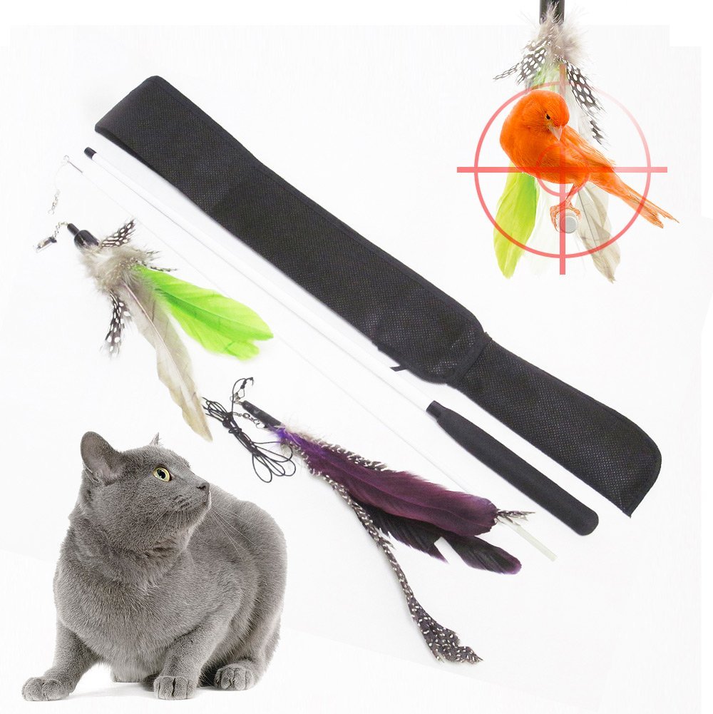 Enter the Bird Catcher Pro Contest Here